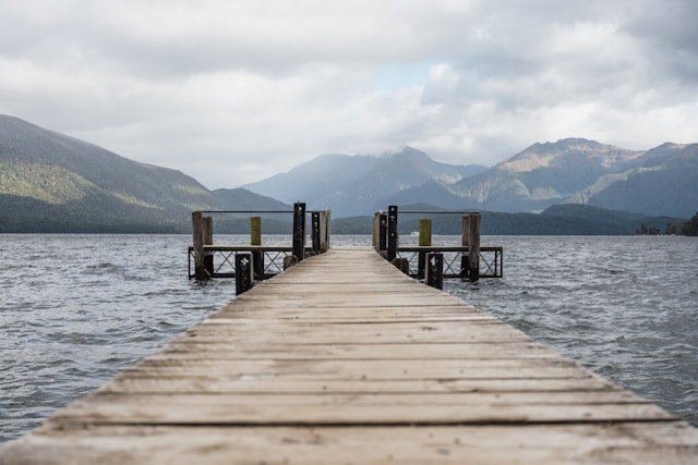 Rediscover Nature in Aotearoa with Social Nature Movement: A New Way to ...